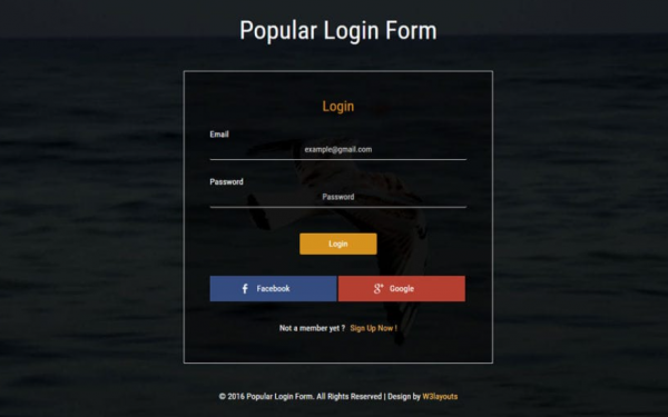Best Free HTML Form Templates in 2022 - Pixel Perfect HTML
